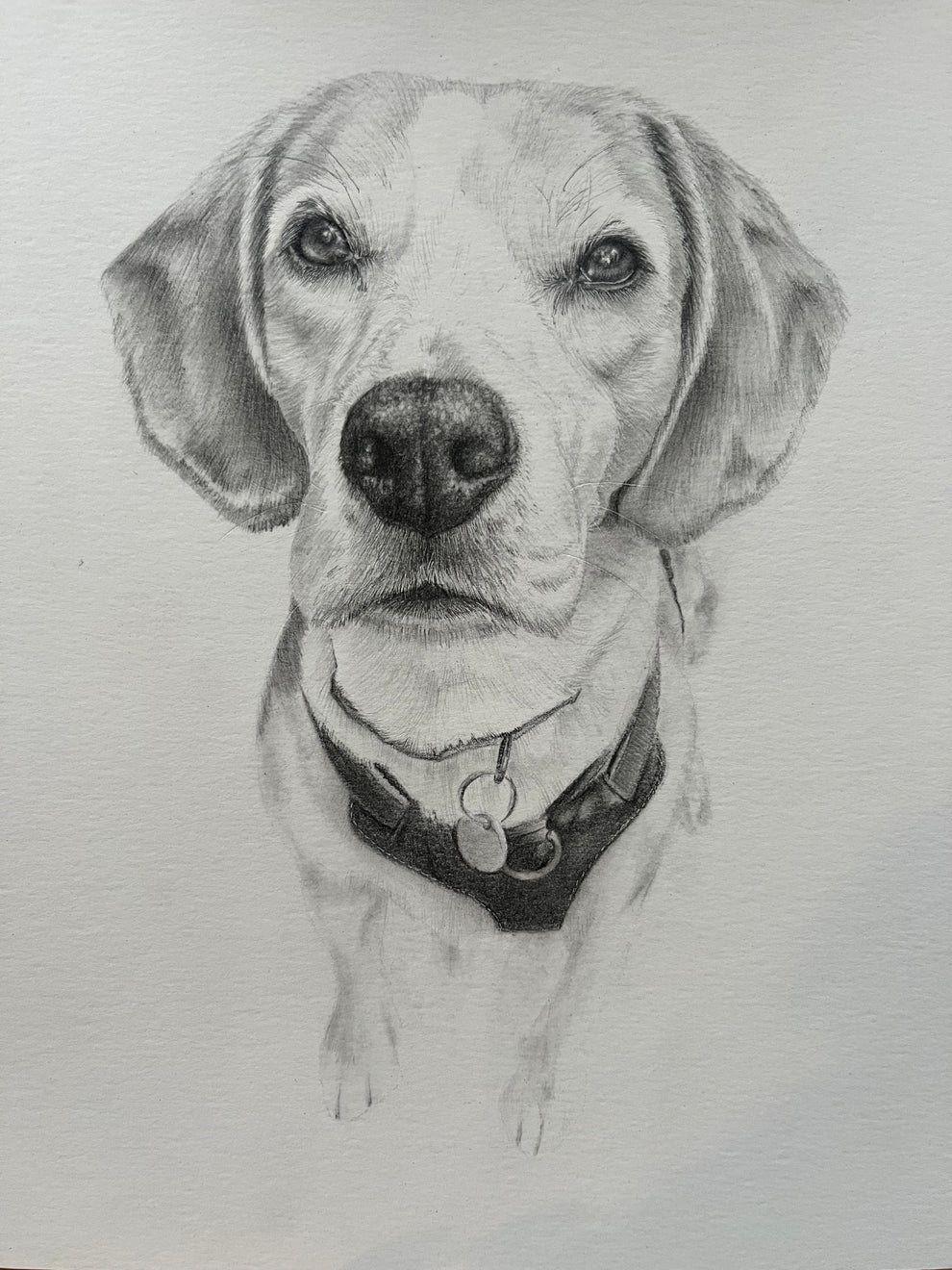 Custom Graphite Pet Portrait | Hand-Drawn Pencil Drawing – TheArtJogging