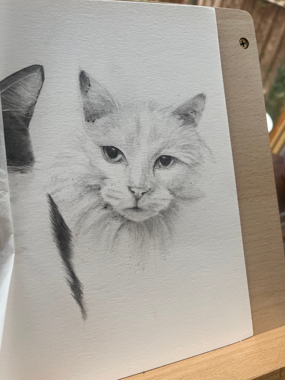 Custom Graphite Pet Portrait | Hand-Drawn Pencil Drawing – TheArtJogging